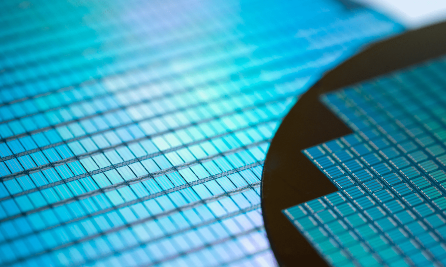 Service – 株式会社ネクストセミコンダクター